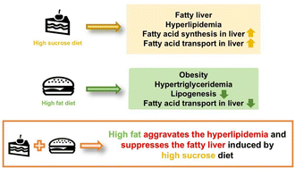 High fat intake aggravates hyperlipidemia and suppresses fatty liver ...