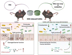 Miao sour soup alleviates DSS-induced colitis in mice: modulation of ...