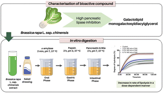 Characterisation of pancreatic lipase inhibitors from Brassica rapa L ...