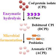 Enhancement of the flavor and functional characteristics of cod protein ...