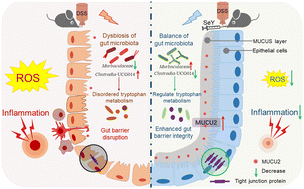 Novel selenium-enriched Pichia kudriavzevii as a dietary supplement to ...