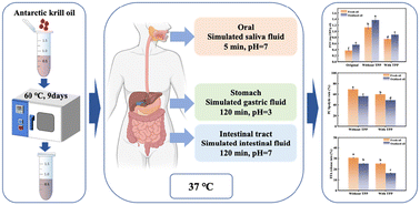 Influence of lipid oxidation on the digestive efficiency of Antarctic ...