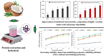 Techno-functional, antioxidant, and amino acid characterization of ...