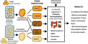 Screening of the effect of new food prototypes based on fermented ...