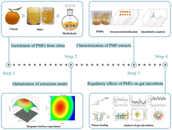 Enrichment of polymethoxyflavones from citrus fruits using an optimized ...