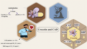 The effect of crocetin (a saffron carotenoid) supplementation on ...