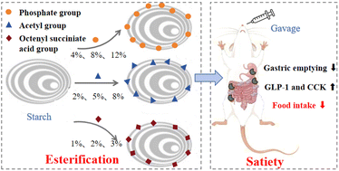 Esterified starches enhance short-term satiety in mice via structural ...
