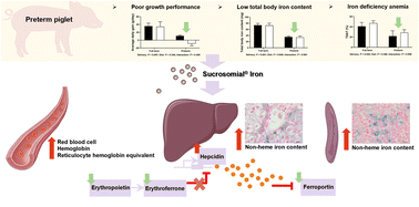 Oral supplementation with Sucrosomial® Iron improves the iron status of ...