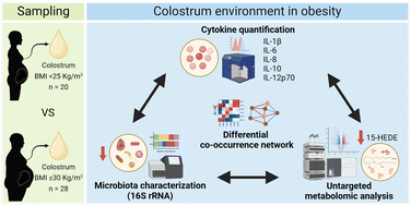 Analysis of human colostrum reveals differential co-occurrence networks ...