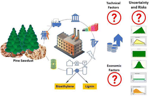 Design of an integrated biorefinery for bioethylene production from ...