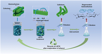 Efficient fractionation of pure hemicellulose with high DP from ...