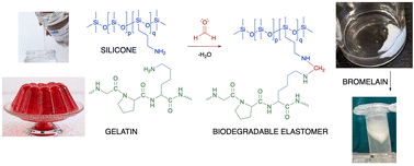 Biodegradable, crosslinked silicone-gelatin hydrogels - Green Chemistry ...