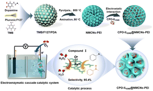 The selective oxidation of thioanisole to sulfoxide using a highly ...