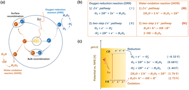 Polymer photocatalysts for photocatalytic hydrogen peroxide production ...