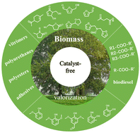 Catalyst-free valorization of biomass resources to value-added products ...