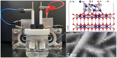 NiCoP@CoNi-LDH/SSM as a multifunctional catalyst for high-efficiency ...
