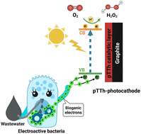 Novel bio-solar hybrid photoelectrochemical synthesis for selective ...
