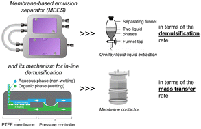 Liquid–liquid extraction for in situ carboxylic acid recovery via ...