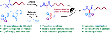 Metal-free decarboxylative C(sp3)–C(sp3) bond formation for the ...