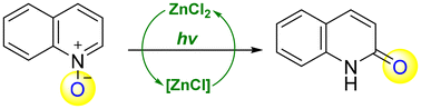 Light-induced isomerization of quinoline-N-oxide derivatives through Zn ...