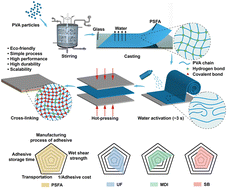 Polyvinyl alcohol solvent-free adhesives for biomass bonding via rapid ...