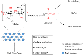 Shell biorefineries: mixed biofuel production from chitin - Green ...