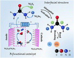 Engineering high-valence nickel sites in Ni3S2/Ni3Se2 architectures ...