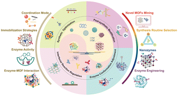 Exploring enzyme–MOF (metal–organic framework) catalytic systems: trade ...