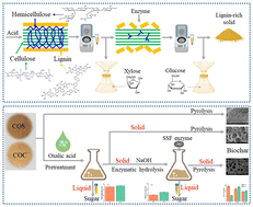 Advancing biomass utilization: conversion of solid residues from ...