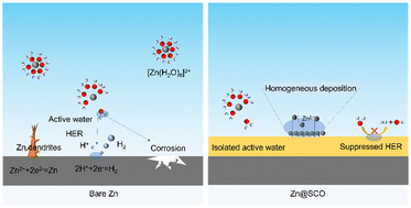 In situ generated tin protective layers from stannous oxalate for ...