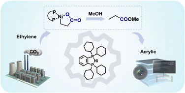 Ni-catalyzed reductive carbonylation of ethylene with CO2 and methanol ...