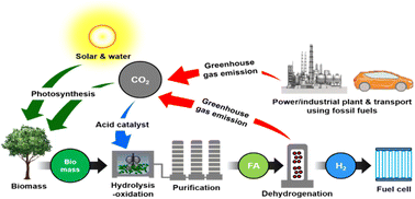 Biomass–formic acid–hydrogen conversion process: sustainable production ...