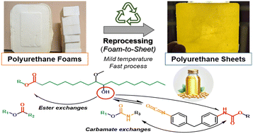 Scalable manufacturing and reprocessing of vitrimerized flexible polyurethane foam (PUF) based ...