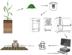 A novel LIBS method for quantitative and high-throughput analysis of ...