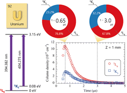 Spectroscopic characterization of uranium atoms in uranium-dioxide ...