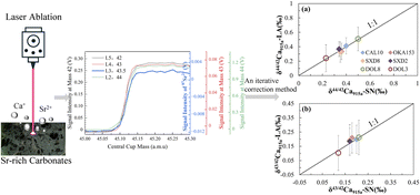 In situ calcium isotope analysis of Sr-rich carbonates using laser ...