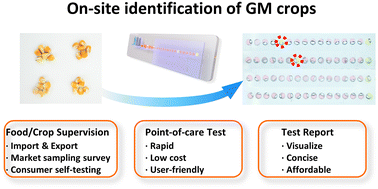 A point-of-care testing platform for on-site identification of ...