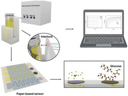 A paper-based dual functional biosensor for safe and user-friendly ...