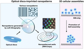 3D cellular self-assembly on optical disc-imprinted nanopatterns - Lab ...