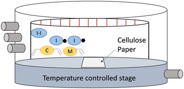 Surface modification of paper-based microfluidic devices via initiated ...