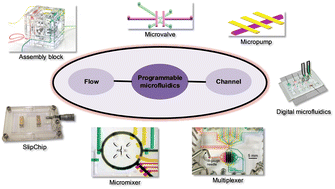 Microfluidic programmable strategies for channels and flow - Lab on a ...