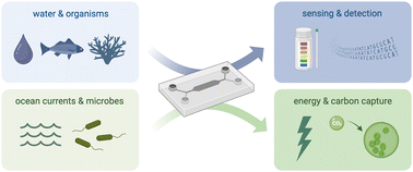 Microfluidics for macrofluidics: addressing marine-ecosystem challenges ...