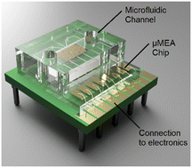 Integrated microfluidic multiple electrode aggregometry for point-of ...
