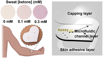 Skin-interfaced microfluidic biosensors for colorimetric measurements ...