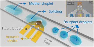 Generation, control, and application of stable bubbles in a hypersonic ...