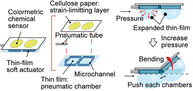 Microfluidic paper-based analytical soft actuators (μPAC) - Lab on a ...
