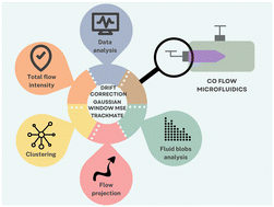 An imaging scheme to study the flow dynamics of co-flow regimes in ...