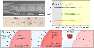 Microfluidic antisolvent crystallization for chiral symmetry breaking ...