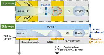 Reusable EWOD-based microfluidic system for active droplet generation ...