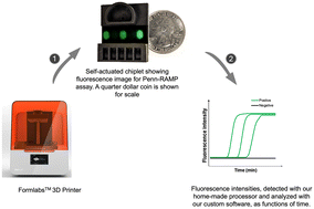 Self-actuated microfluidic chiplet for two-stage multiplex nucleic acid ...